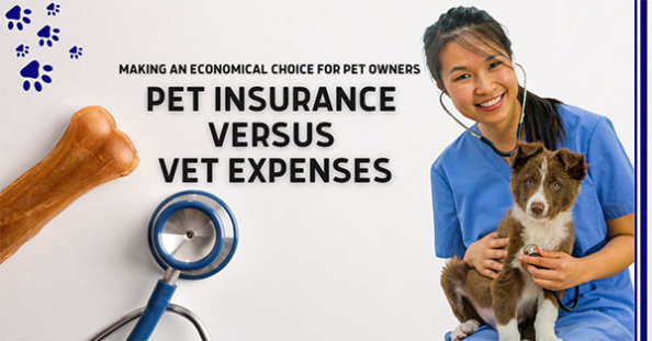 C&H - Insurance Company
